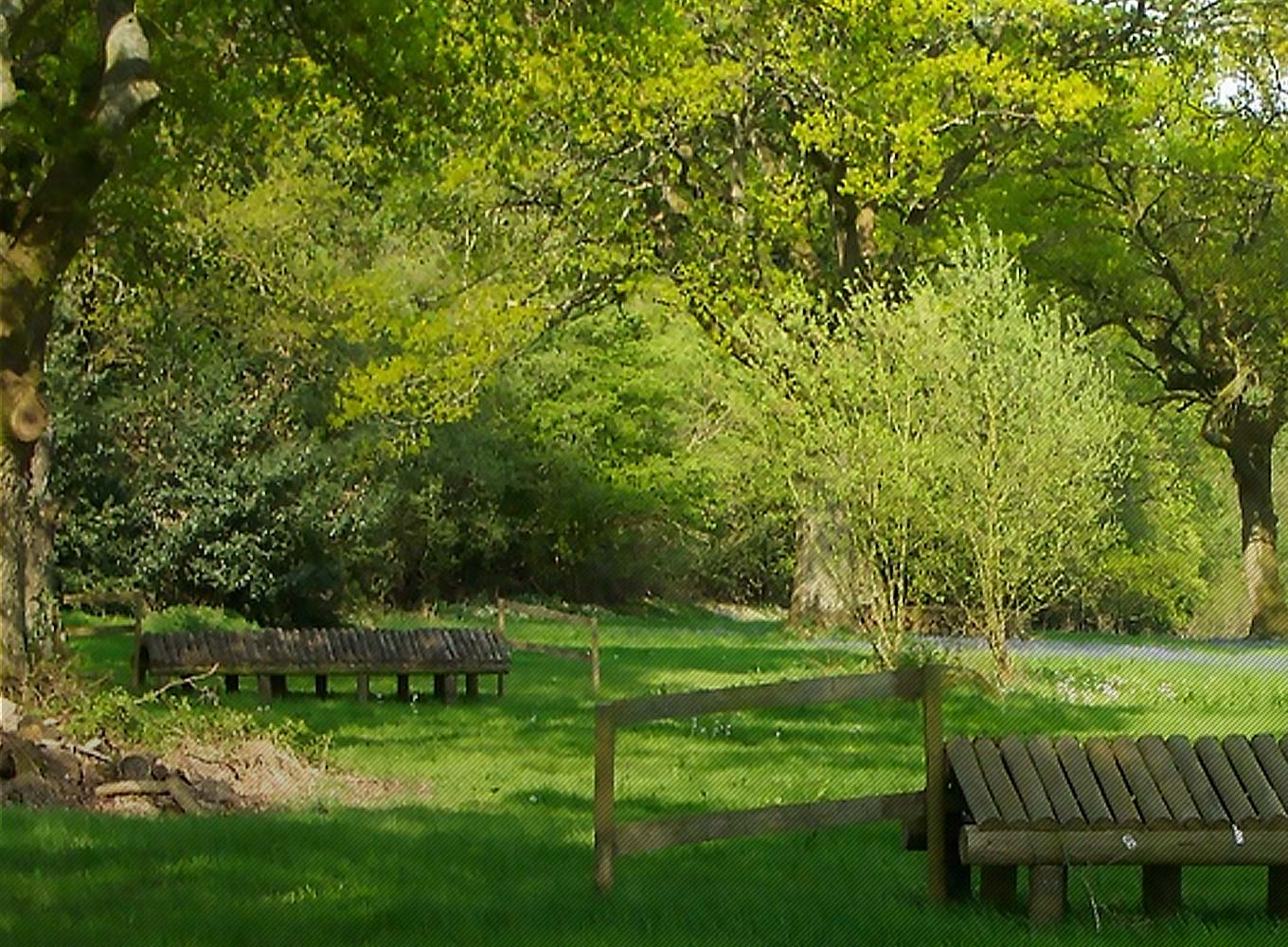 CustomXC - Create your perfect Cross Country Colours